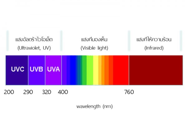 Uva Uvb Uvc My Cms