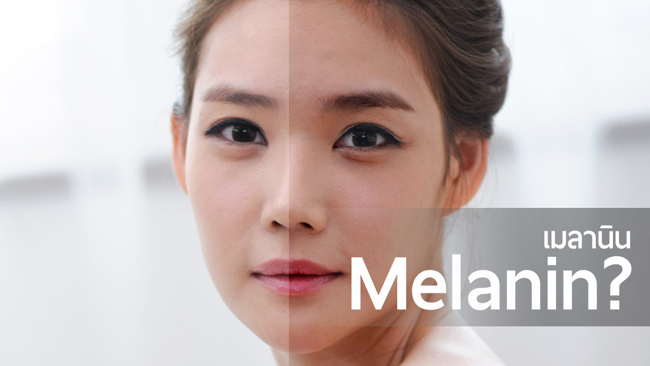 เมลานิน (Melanin) คืออะไร และ มีความสำคัญต่อผิวอย่างไร โดย PiOne